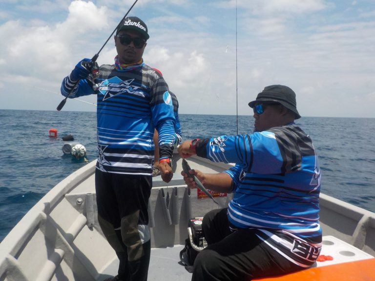 Panduan melayan ikan apollo!!