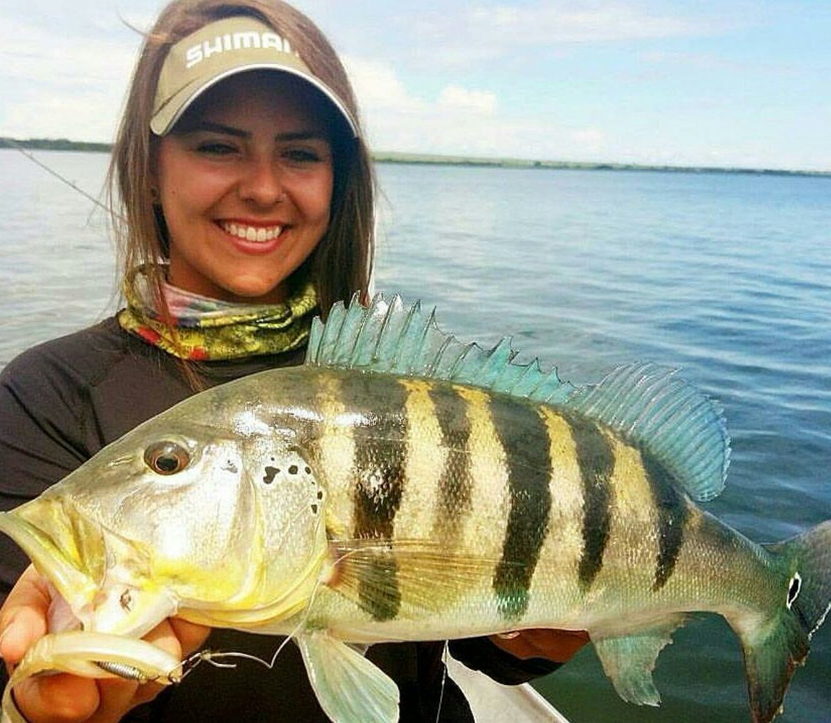 Info Spesies: Kenali 15 Spesies Peacock Bass