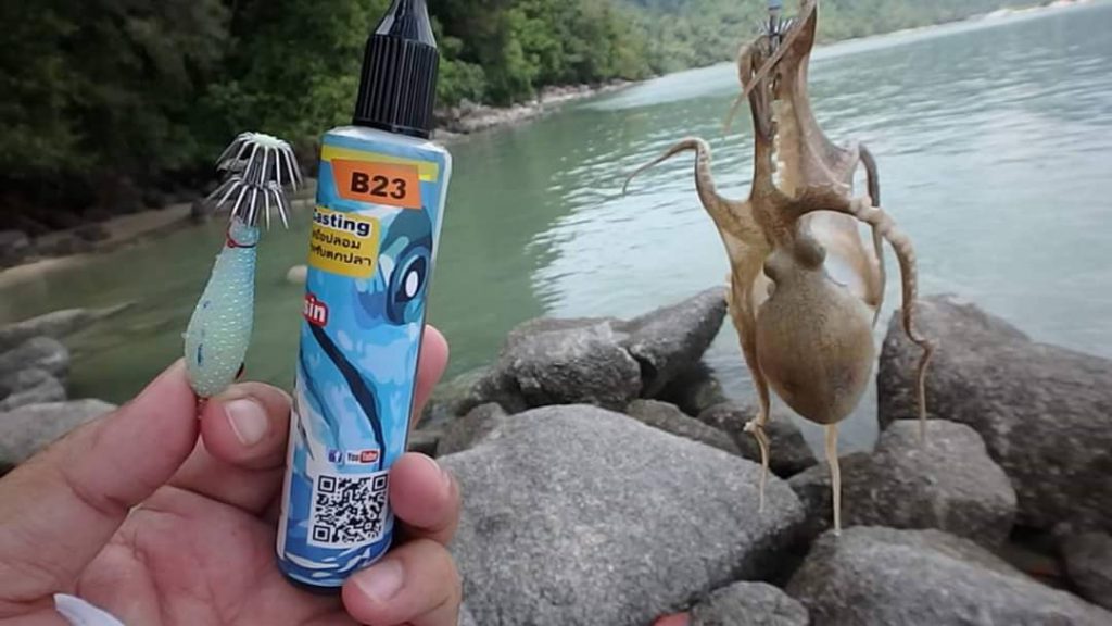 Teknik Terkini Pancing Sotong Kurita - Umpan