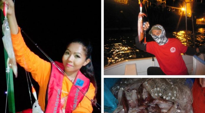 Info Spesies - Kenali Jenis Umpun-Umpun