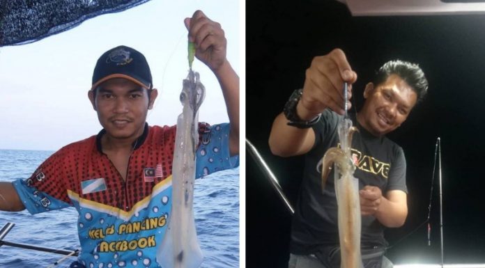 Ramai Yang Tak Tahu Perbezaan Ikan Ketarap Dan Bayan - Umpan