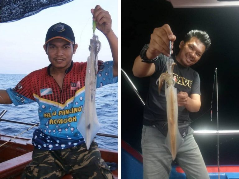 Info Spesies - Kenali Jenis Umpun-Umpun