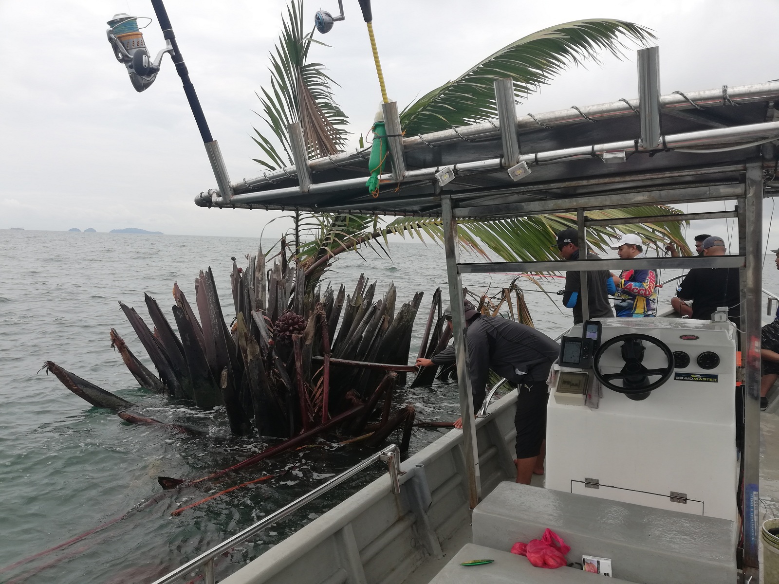 Tip & trik memancing ikan pecah periuk