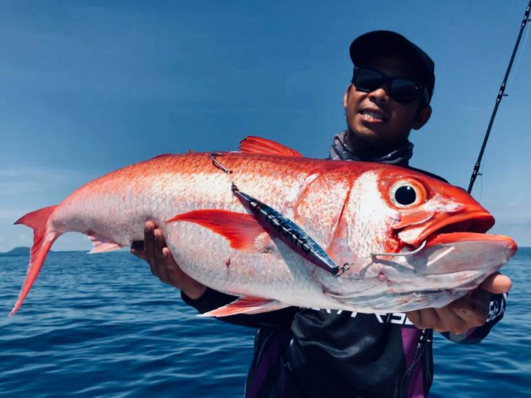 3 Spesies Tenggiri Popular Tanah Air © - Umpan