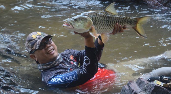 Info spesies: Mengenali sebarau lebih mendalam!! - Umpan