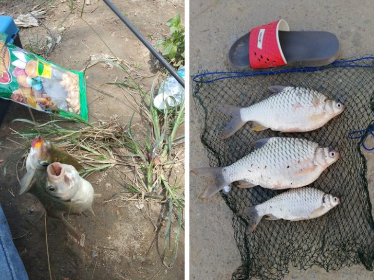 Ketahui Cara Memilih Jenis Perambut Yang Betul - Umpan