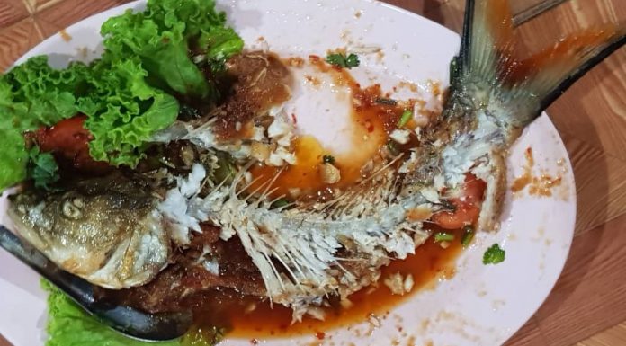 20 Khasiat memakan ikan sebarau!! - Umpan