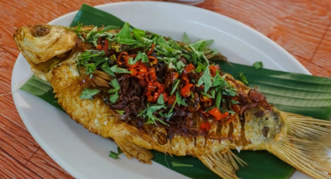 Khasiat ikan lampam yang tersembunyi!!