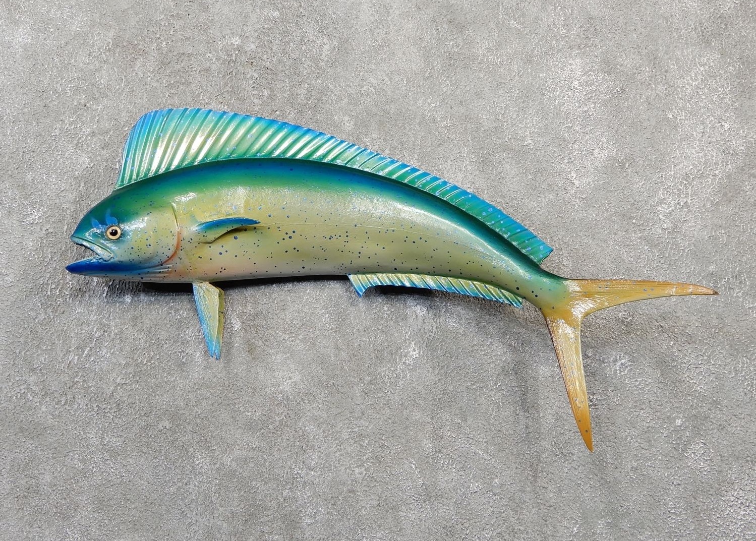 10 Spesies Ikan Yu Yang Menakjubkan!! - Umpan