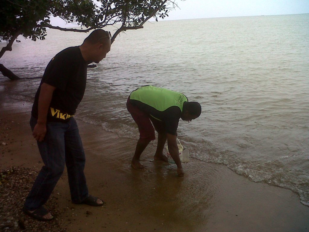 Cara Mudah Nak Cari Umpun-Umpun Pasir - Umpan