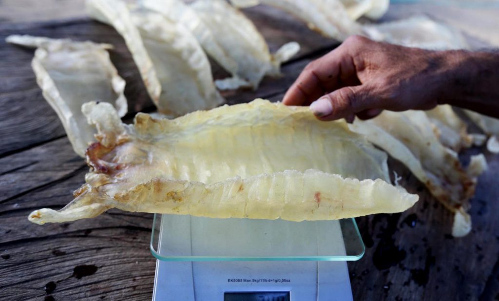 Khasiat & Harga Bukan Biasa-Biasa Pundi Renang Ibu Gelama - Umpan