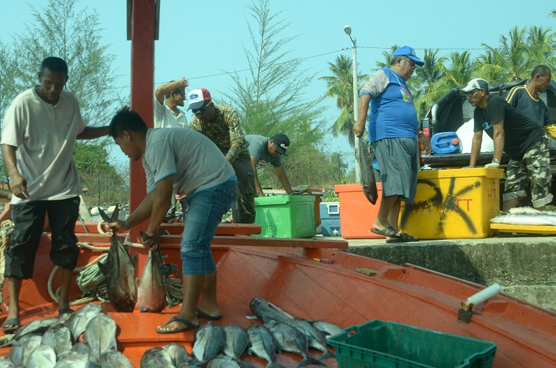 Kitab Panduan Pancingan Laut Dalam - Bab 2/2 - Umpan
