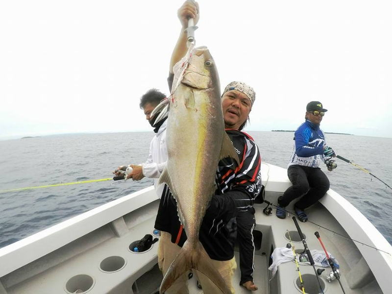 Panduan Memancing Ikan Aji-Aji - Umpan