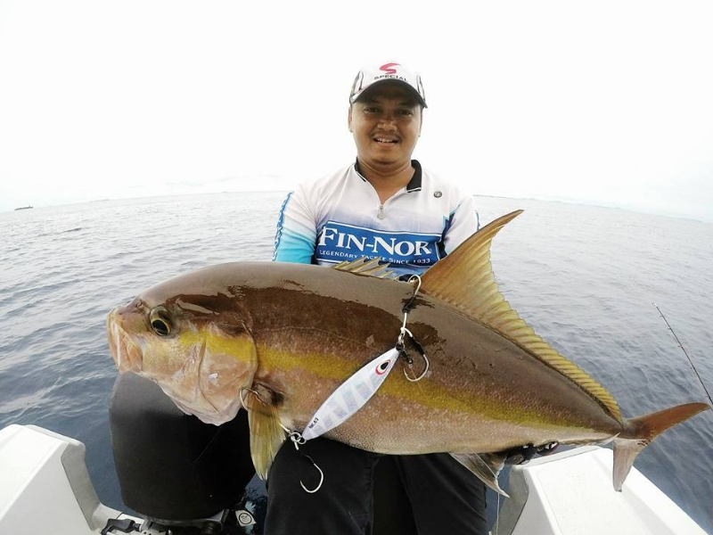 Panduan Memancing Ikan Aji-Aji - Umpan