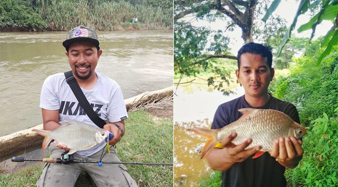 Perbezaan Jenis Lampam & Cara Memancingnya