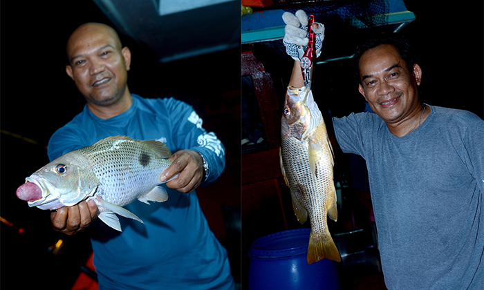 Mengenal Lubuk & Timing Mancing Jenahak - Umpan