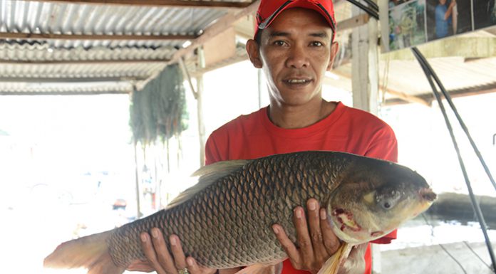 Bagaimana Nak Tahu Ubat Mabuk Laut Paling Power - Umpan