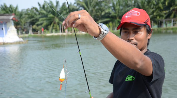 Bagaimana Nak Tahu Ubat Mabuk Laut Paling Power - Umpan