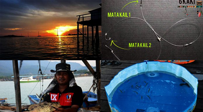 Panduan Lengkap Memancing Di Kelong!!