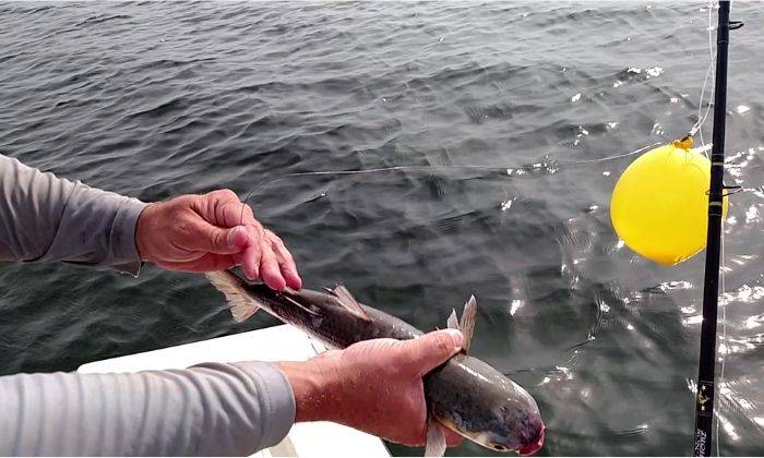 Kuasai 6 Kaedah Mancing Popular Di Laut - Umpan