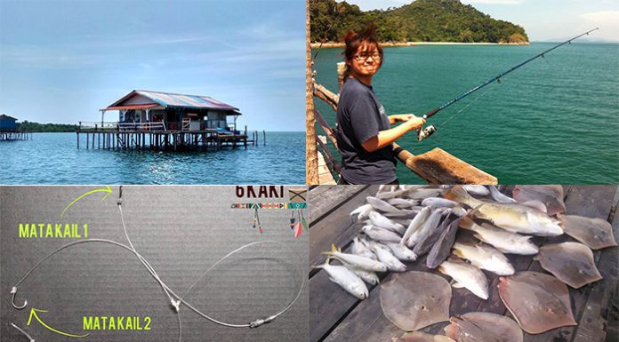 Guna Perambut-Perambut Ini Jika Mancing Di Kelong!!