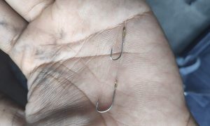 Panduan Memilih Jenis Perambut Yang Tepat Untuk Memancing - Umpan