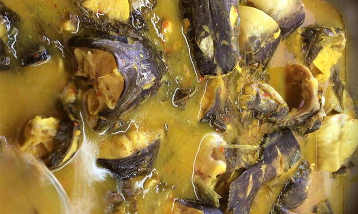 Bukan Saja Sedap, Penuh Khasiat Pulak Si Pak Misai - Umpan