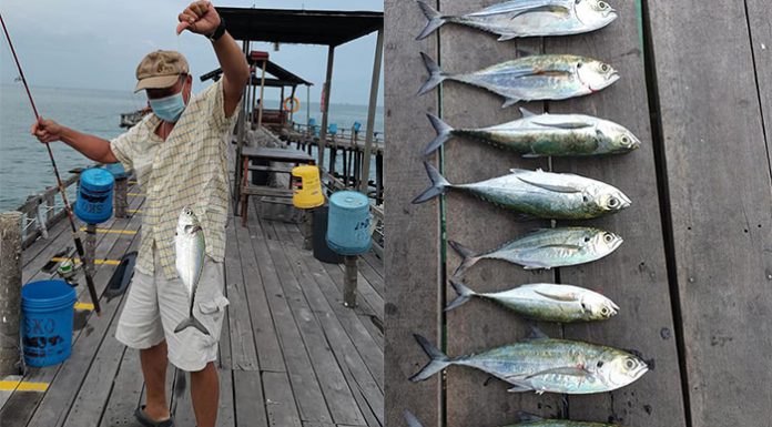 Ketahui Cara Memilih Jenis Perambut Yang Betul - Umpan