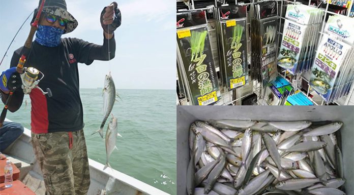 Fishing Guide – Guide Terbaik Pancing Baung Sungai Pahang - Umpan