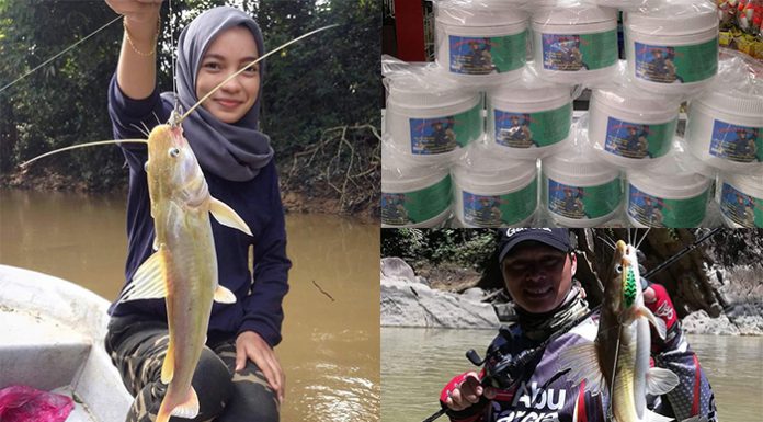 Ketahui Cara Memilih Jenis Perambut Yang Betul - Umpan