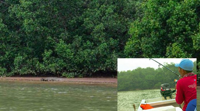 Trip Throwback- Lubuk Mantap Sungai Jimah Lama