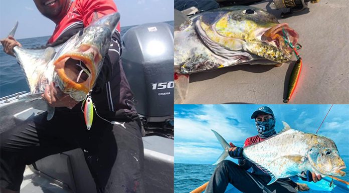 Kenali Ikan Banang!! - Umpan