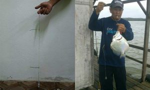 Pilihan Perambut Terbaik Pancingan Kelong & Rakit