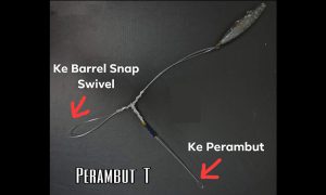 Variasi Perambut Terbaik Mengumpan Jenahak