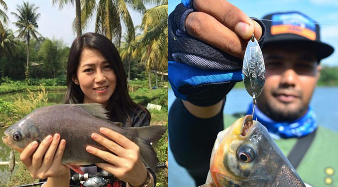 Ketahui Cara Memilih Jenis Perambut Yang Betul - Umpan