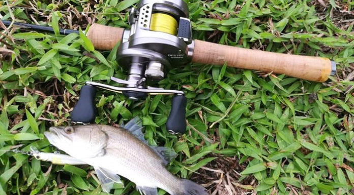 Ilmu Memancing Siakap Yang Perlu Diketahui