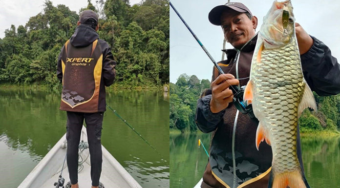 Rahsia Mengilat Ikan Sebarau Yang Wajib Diketahui