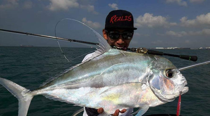 Mengenal Ikan Belukang Dengan Lebih Mendalam!! - Umpan