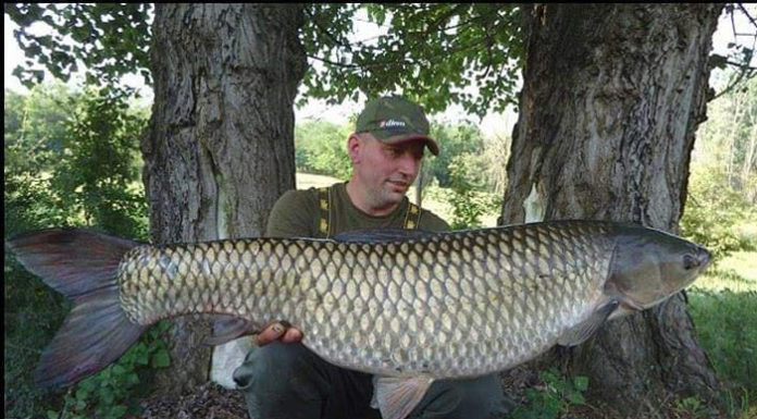 Ramai Yang Tak Tahu Perbezaan Ikan Ketarap Dan Bayan - Umpan