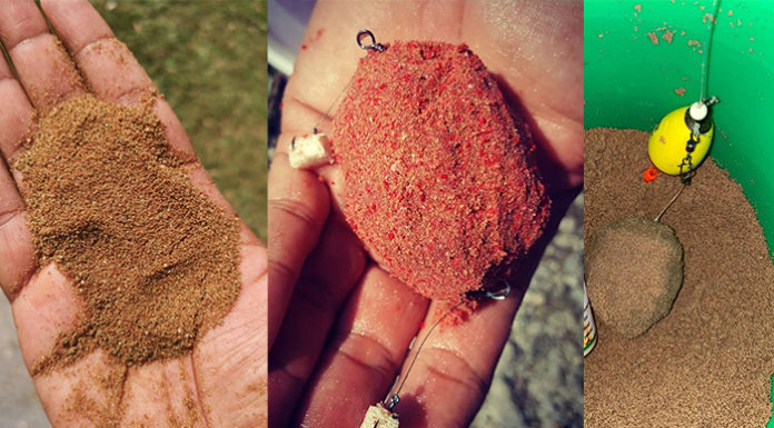 Ketahui 4 Spesies Ikan Air Tawar Sarawak Termahal