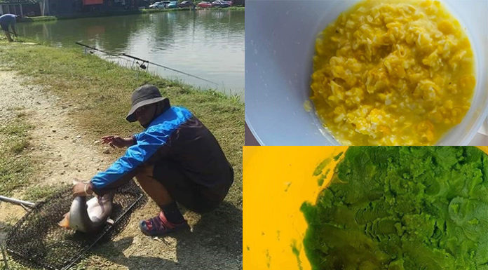 Kenali Jenis-Jenis Tukun Tiruan!! - Umpan