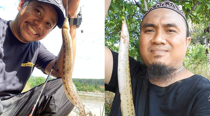 Ketahui Cara Memilih Jenis Perambut Yang Betul - Umpan