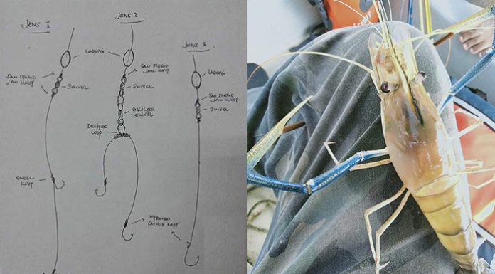 Setup Perambut Candat Sotong Paling Ngam - Umpan