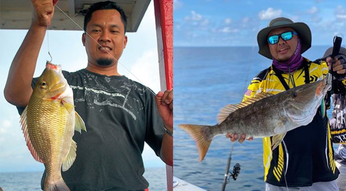 Ketahui Perbezaan Ikan Landok Dan Ketambak