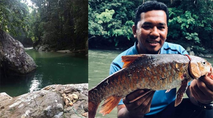 Soal Jawab Mancing – Apa Punca Tali Perambut Bersimpul Dan Berpintal ...