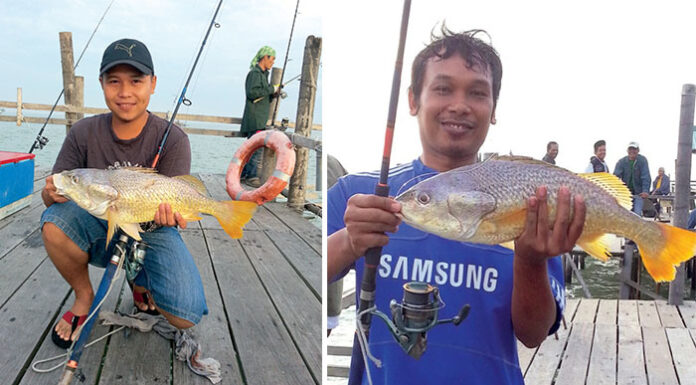 Kenali Teknik Memancing Di Tuas - Umpan