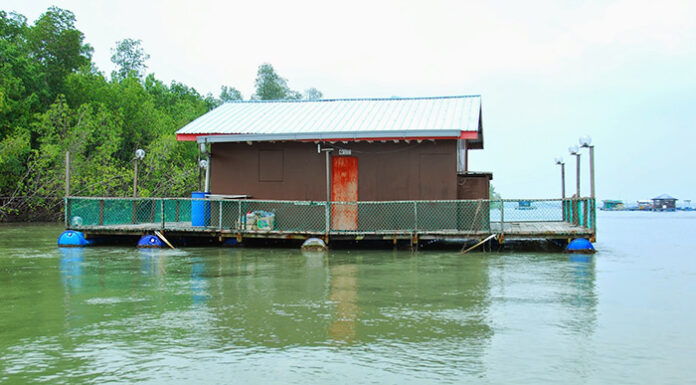 Tutorial Lengkap Mancing Di Rumah Rakit