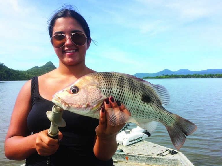 Info Spesies - Info Lengkap Spesies Jenahak