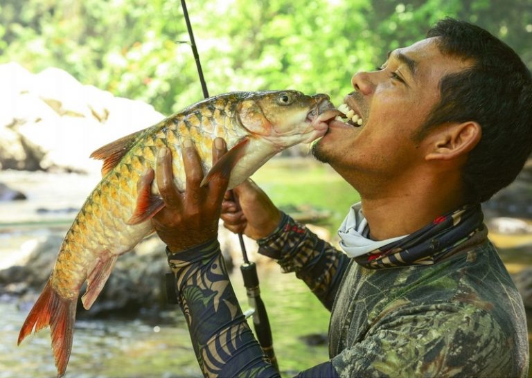 Info Spesies: Profil Ikan Tengalan - Umpan