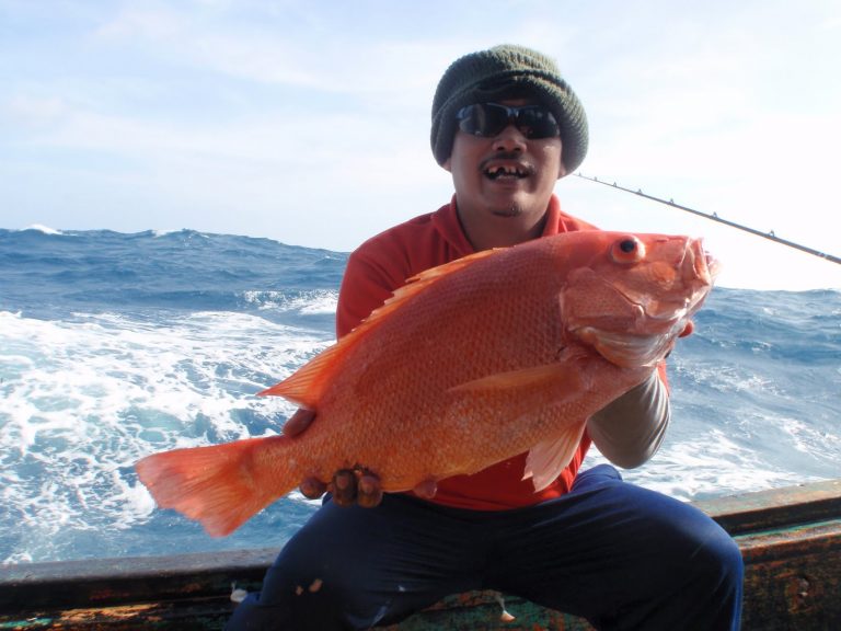 10 Spesies Ikan Yu Yang Menakjubkan!! - Umpan